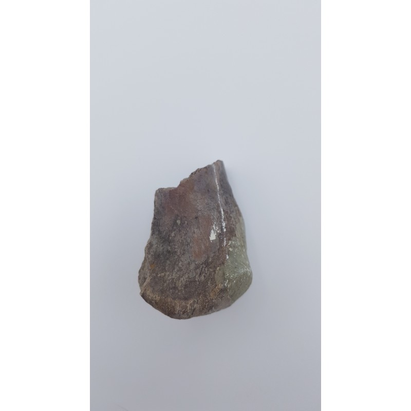 Hypacrosaurus (Hypacrosaurus) 1